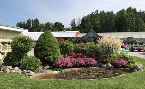 Willson's Garden Center | Growing Fun Since 1921!